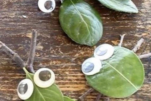 Activiteiten Hellevoetsluis - PUSH