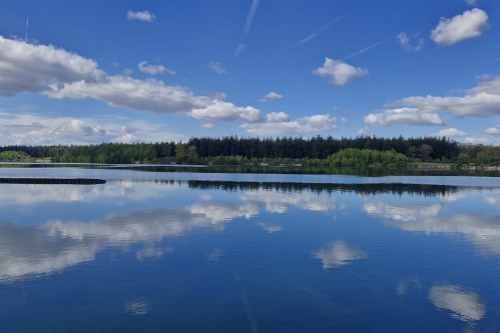 Activiteiten Hellevoetsluis - PUSH